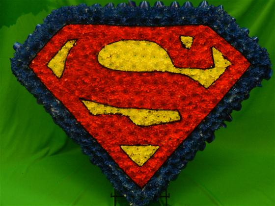 Superman Logo Funeral Tribute