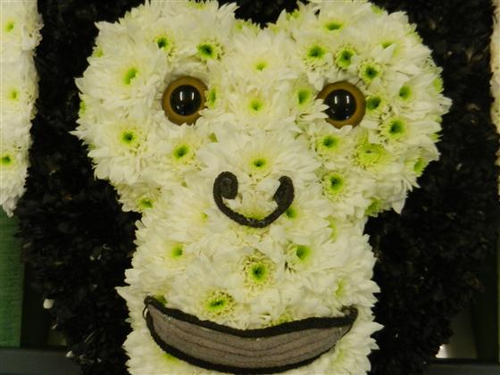 Monkey funeral tribute - Funeral Flowers Swansea