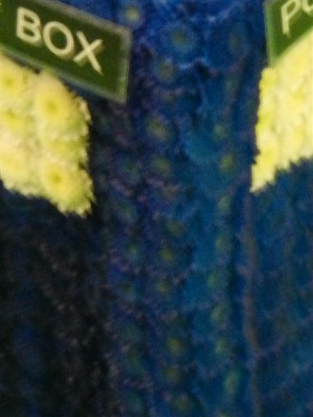 Tardis Funeral Tribute - Funeral Flowers Swansea